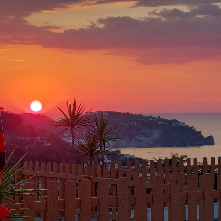 Camera Standard N2 - Ischia