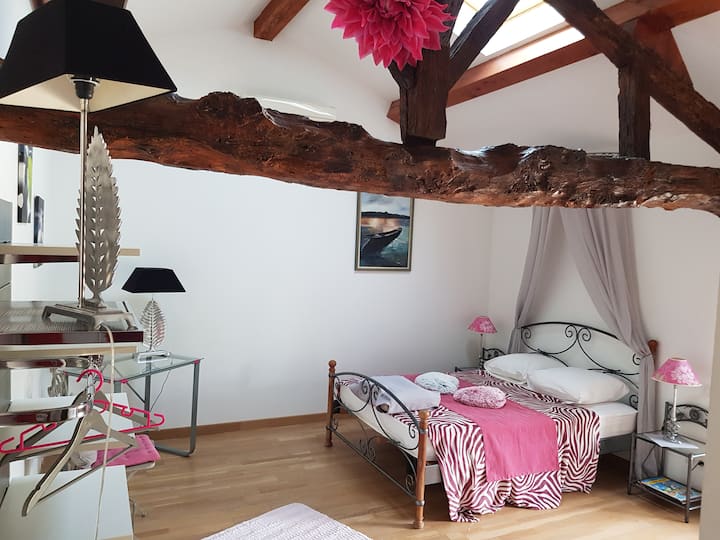 Gite Avec 5 Belles Chambres Un Air De Campagne - Lot-et-Garonne