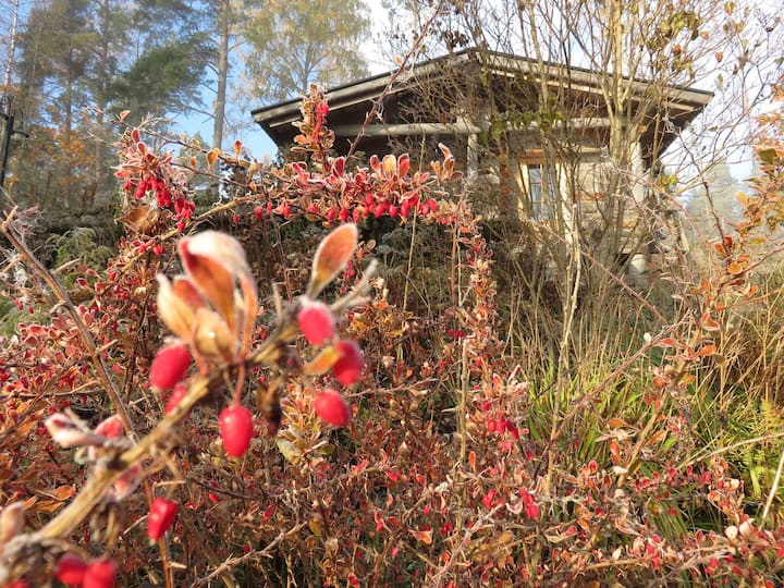 Cozy Romantic Cottage With Private Sauna In Espoo - 