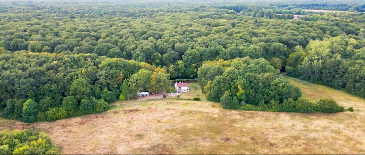 Retraite Enchantée En Forêt - Montereau-Fault-Yonne