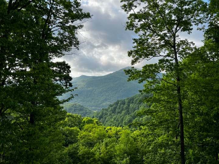 Great Smoky Mountain Getaway - Maggie Valley, NC