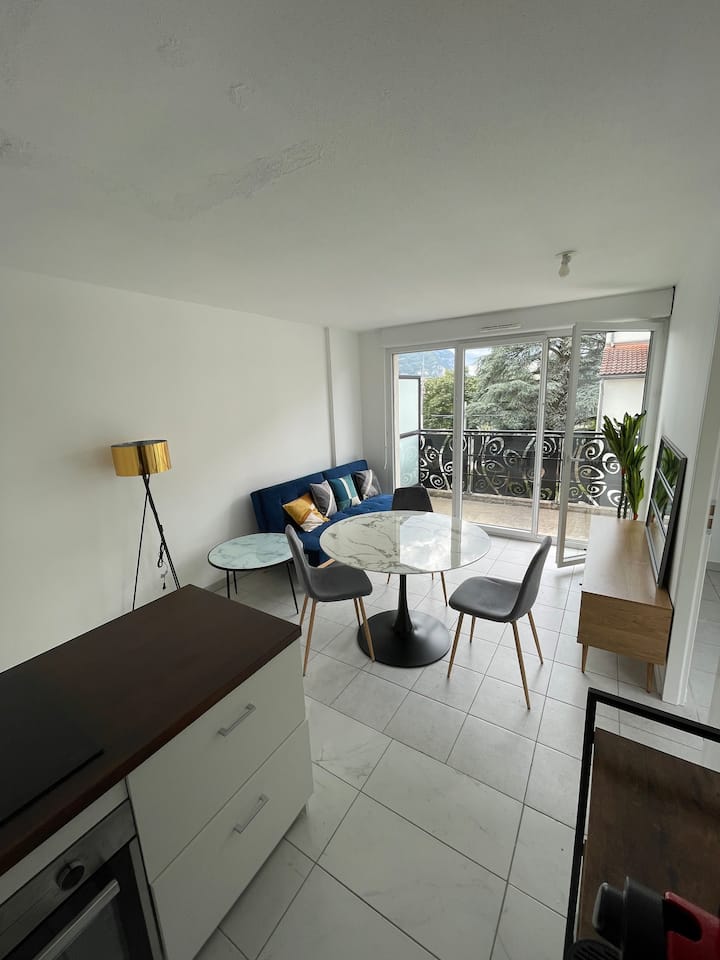 Chambre 3d, Tram 17, Genève - Annemasse