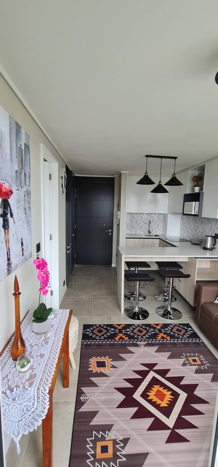 Nuevo Departamento Full Equipado - Valdivia