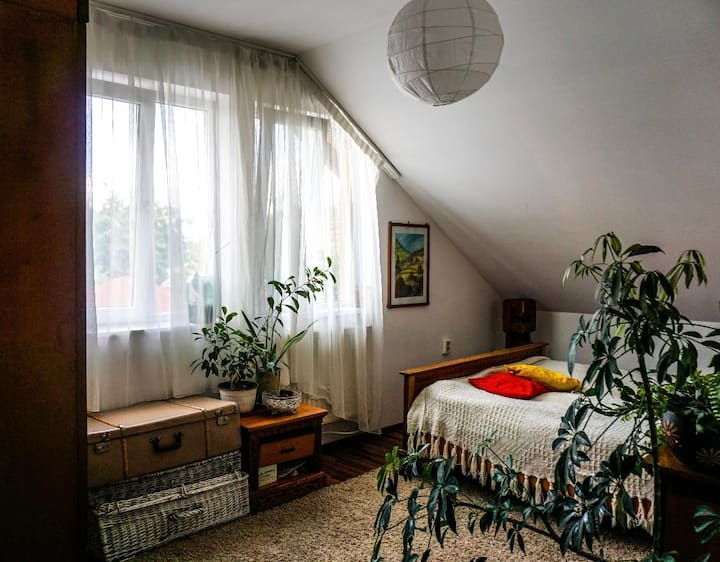 2 Private Rooms For Untold - Cluj-Napoca