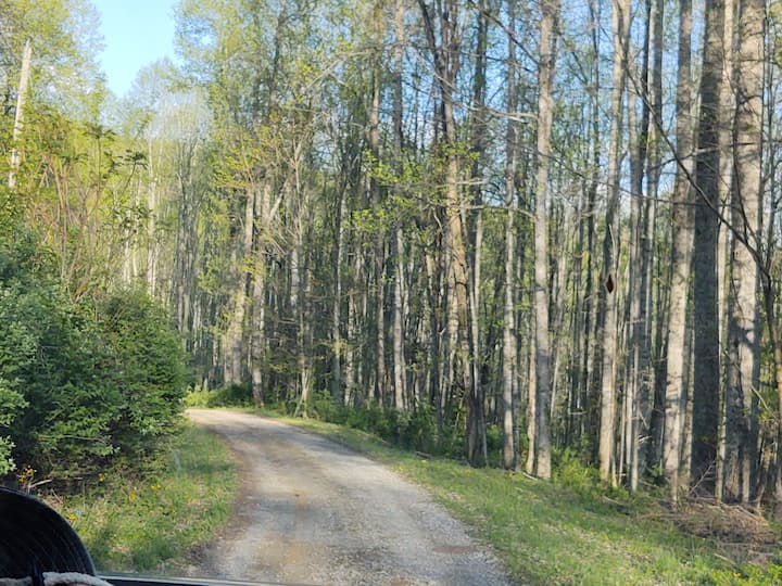 Yeti's Triangle - Beartown State Park, Renick