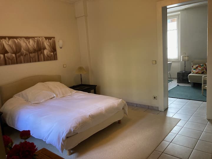 Appartement "Les 4 Têtes" - Cordon