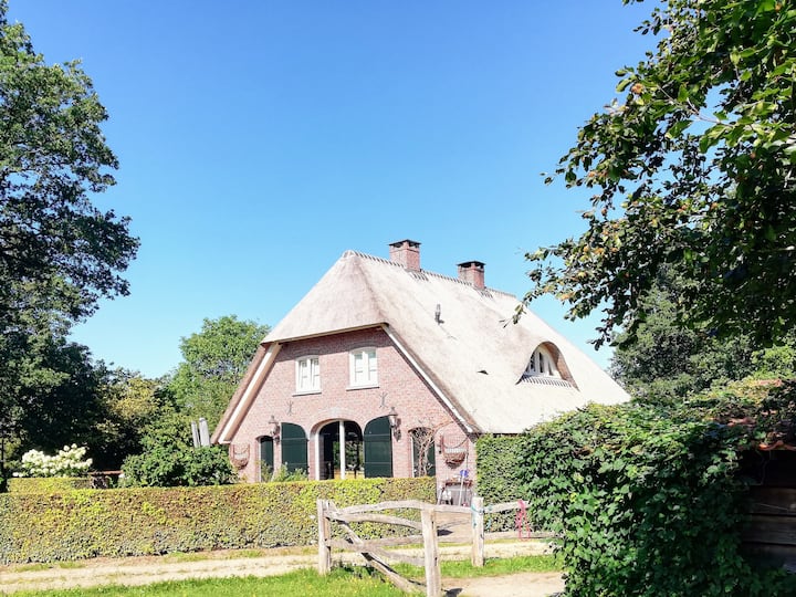 B&b De Soerensesteeg - Vaassen
