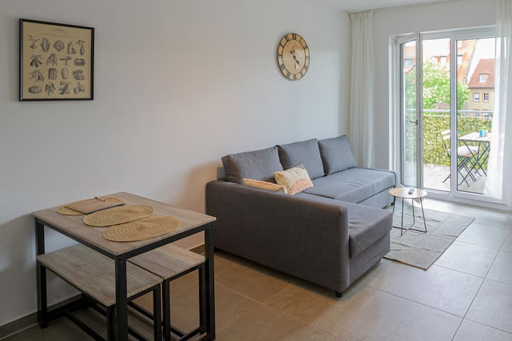 Nibelungen Apartments / Tolle 3 Zi Whg. Mit Balkon - Worms
