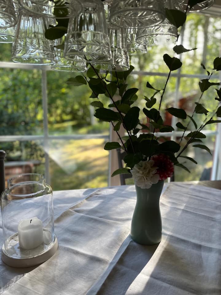 Cozy House With A Guesthouse With A Small Pool! - Ahvenanmaan Maakunta