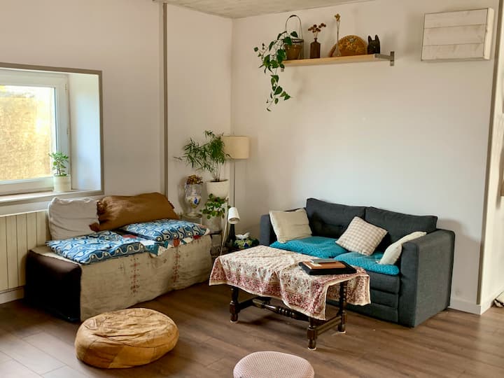 Appartement Sur Le Rosmeur - Douarnenez