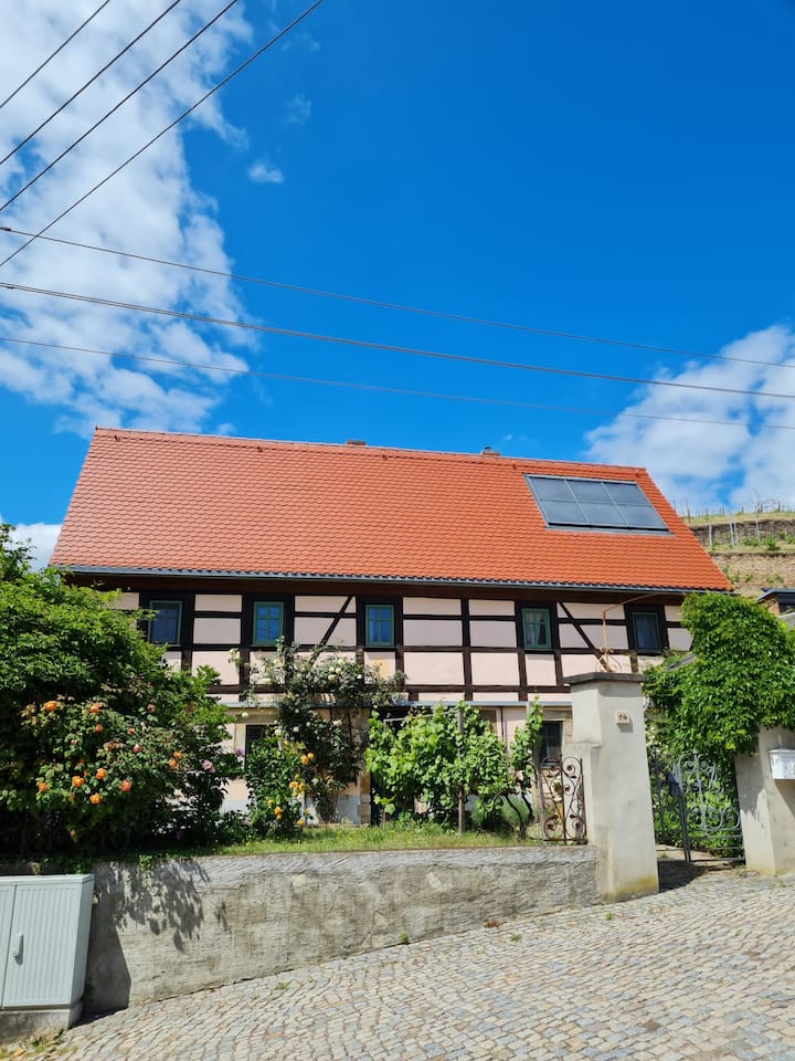 Haus Zum Weinberg - Riesa