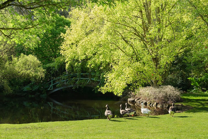 Gardens Of Tieve Tara - Romsey