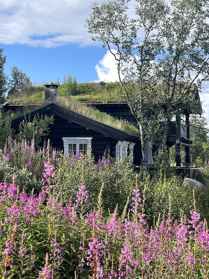 Høstferie! Barnevennlig Og Idyllisk Fjellhytte - Norway