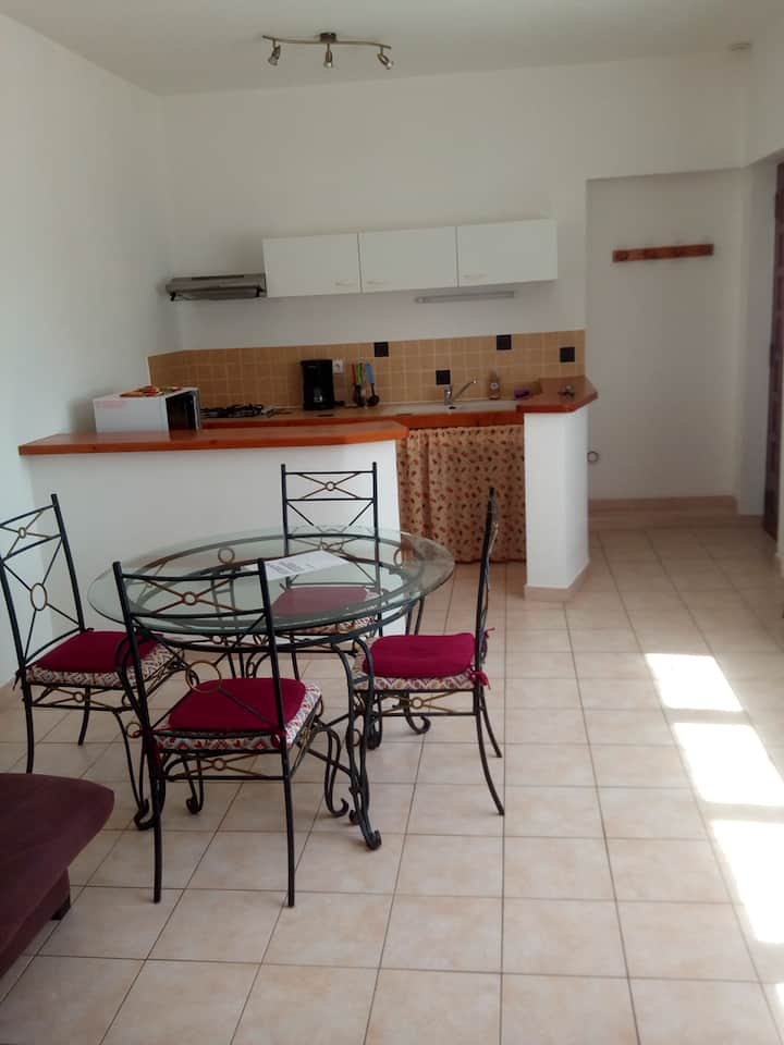 T1 36 M² Avec Terrasse Et Jardin - Valensole