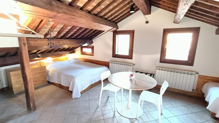 Cà Terrace Marcello San Polo - Venice