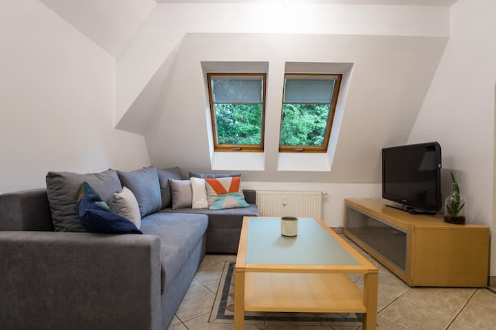 Apartament Saba W Centrum - Zakopane