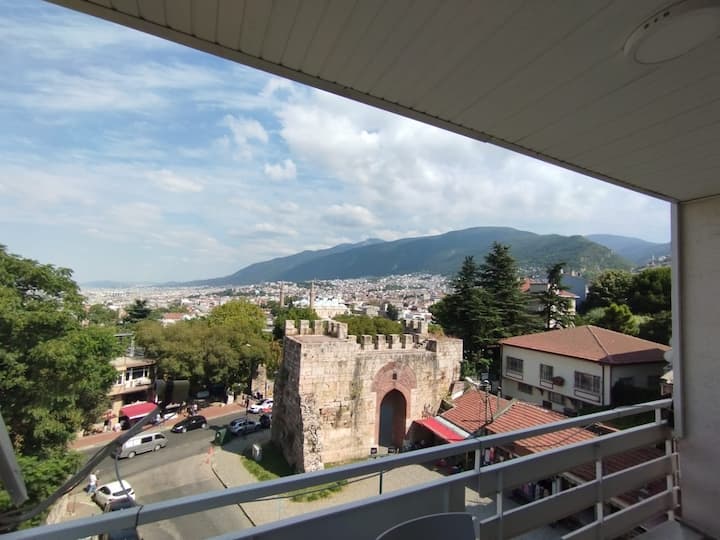Airy Flat In The City Center.grand Mosque View. - Bursa