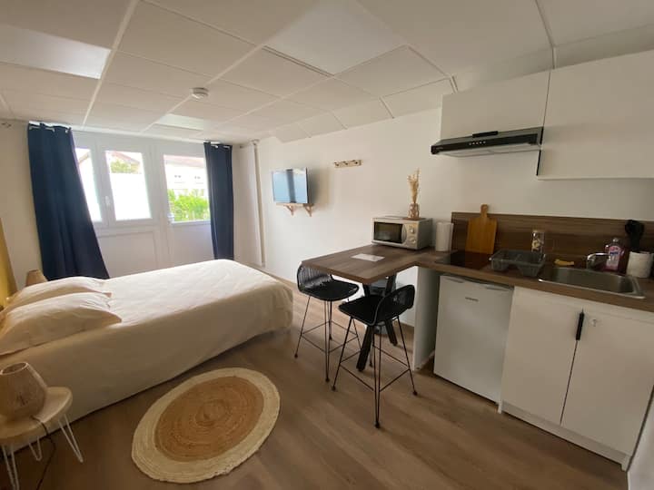 Studio "Cocon De Miel " - La Roche-sur-Yon