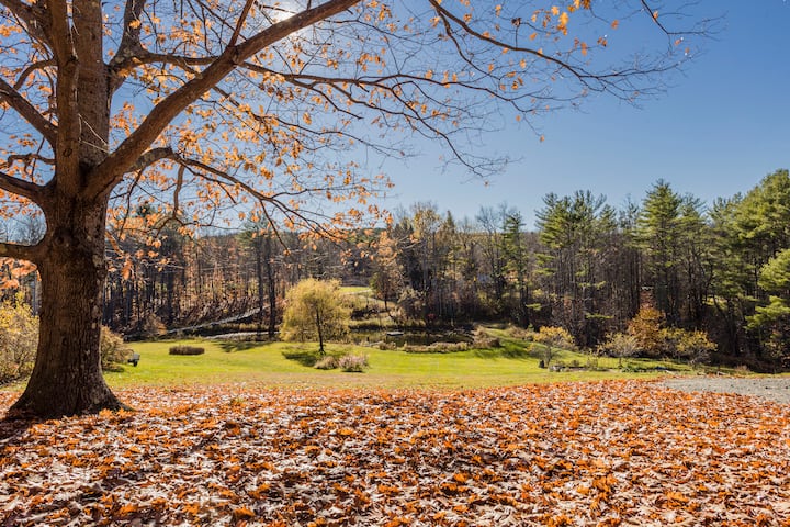 3 Building Farm Stay At Wise Pines (16 Guests) - Woodstock, VT