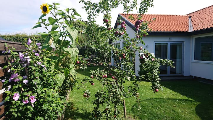 Familjevänlig Villa Nära Strand, Malmö Och Kph - Malmö