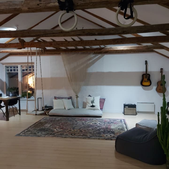 Unique +100 Years Old Penthouse - Lieto