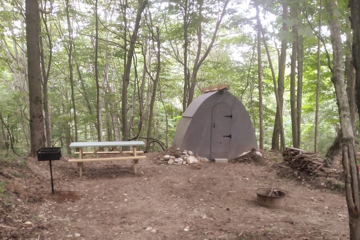 Forest At Summit Lake - Owl Site - Greenwich, NY