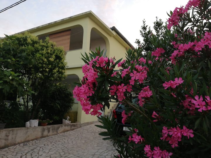 Apartman Just For You - Novi Vinodolski