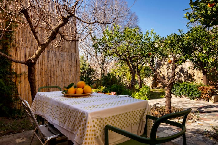 Charming House W Citrus Garden - Noto
