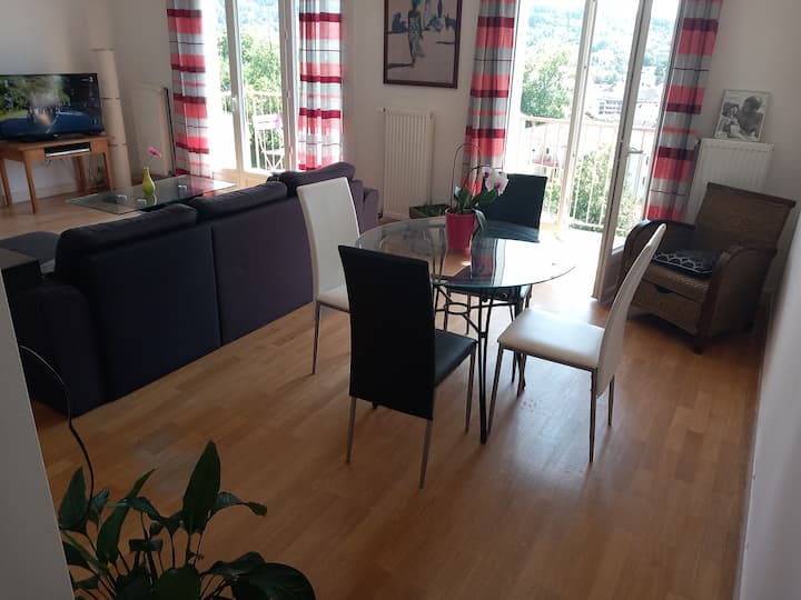 Bel Appartement,lumineux,calme. - Lons-le-Saunier