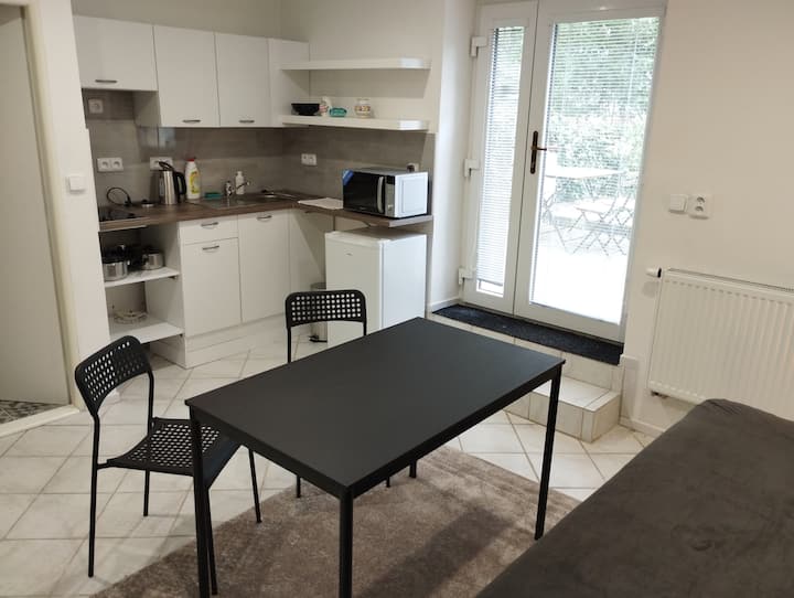 Apartmán V Karlových Varech S Terasou A Grilem - Karlowe Wary