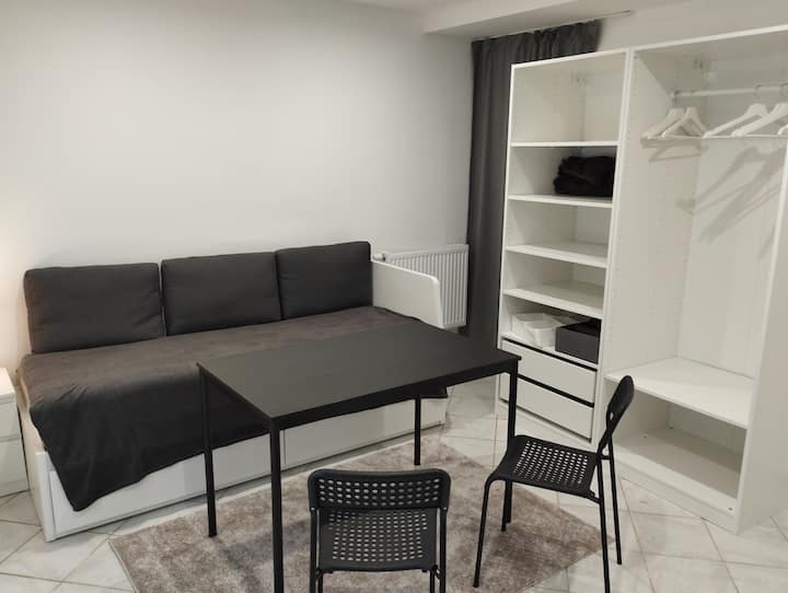 Apartmán V Karlových Varech S Terasou A Grilem - Karlovy Vary