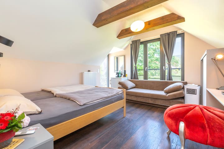 Comfort Guest House Lostorf - Aarau