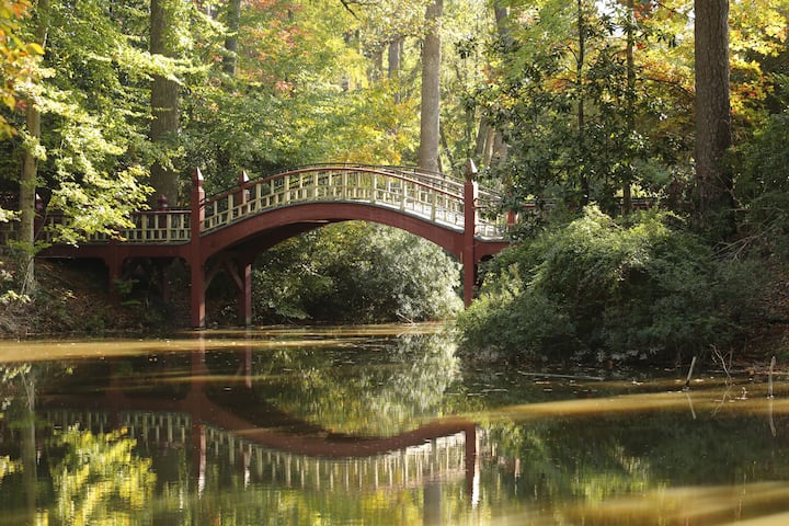 Budget Hotel Clean And Cozy Room - Williamsburg, VA