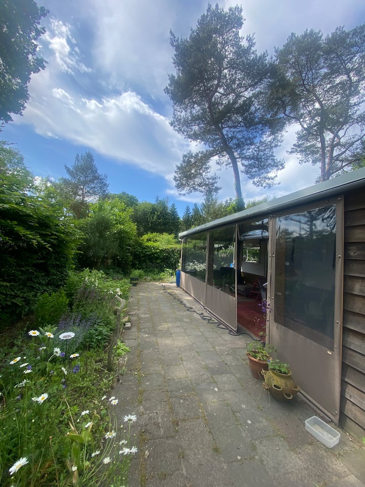 Colette’s Boshuisje - Vriezenveen