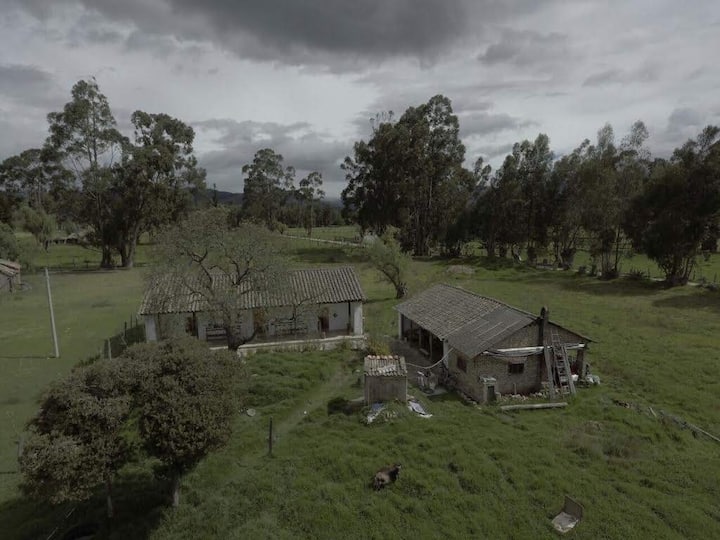 Posada Altamisa - Iza