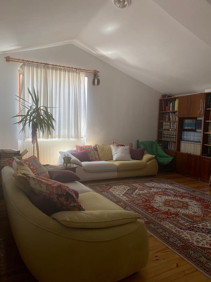 Mevlana'ya 10 Dakika Bahçeli Klimalı Villa - Konya