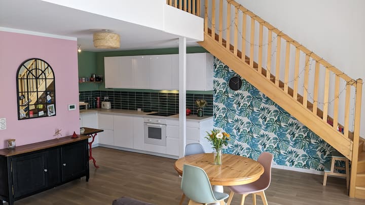 Duplex Deux Chambres Parking Privé Avec Chats - Lille