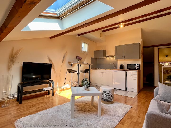 Charmant Studio Indépendant - Ludres