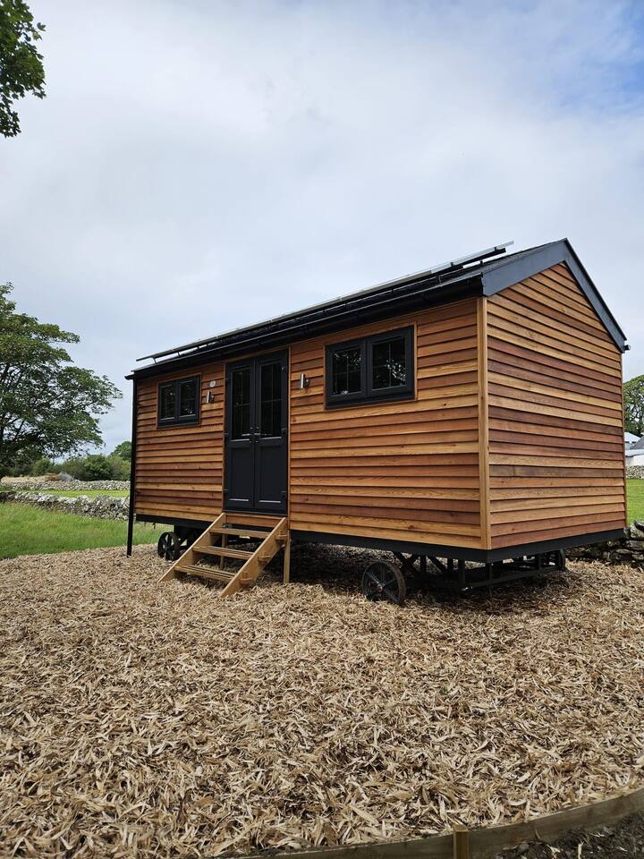 Woodland Shepherd's Hut - 'Aristocrat' - Llanberis