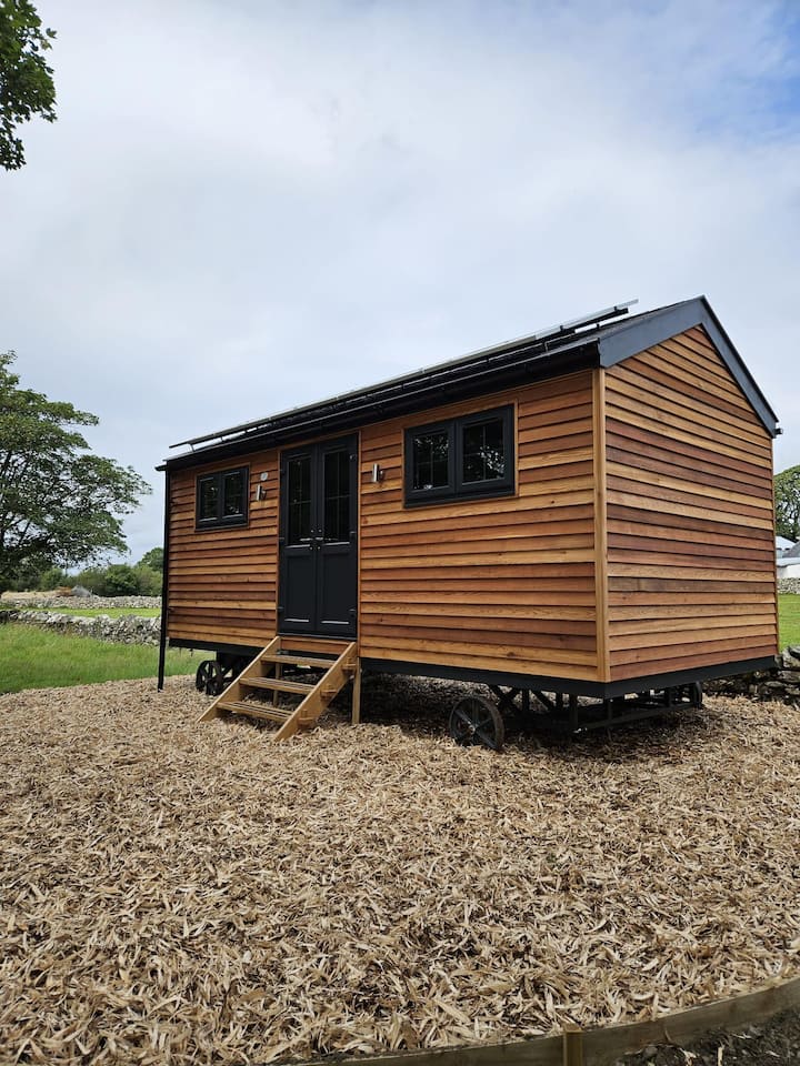 Woodland Shepherd's Hut - 'Saga' - Llanberis