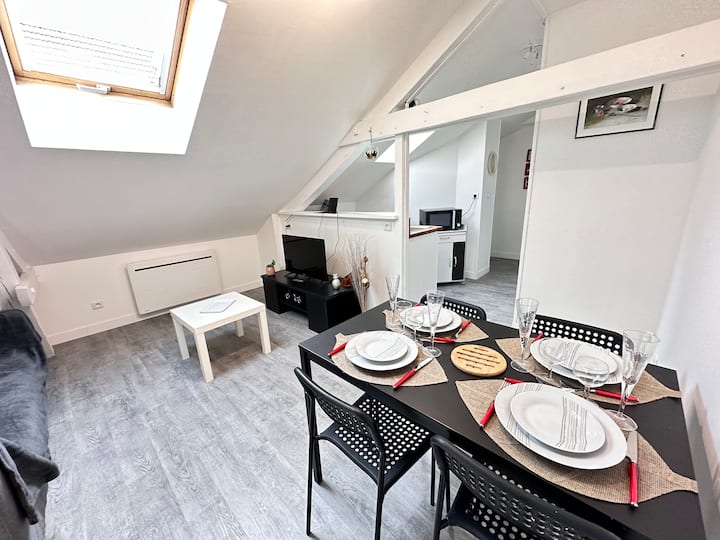 Brouette T2 Cocon Proche Centre Ville - Reims