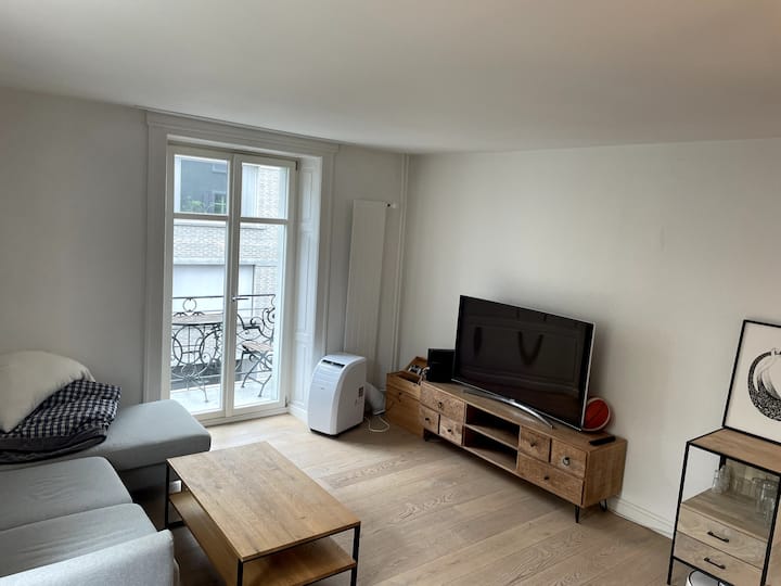 Luxurious And Cozy Downtown Pad - Zurique