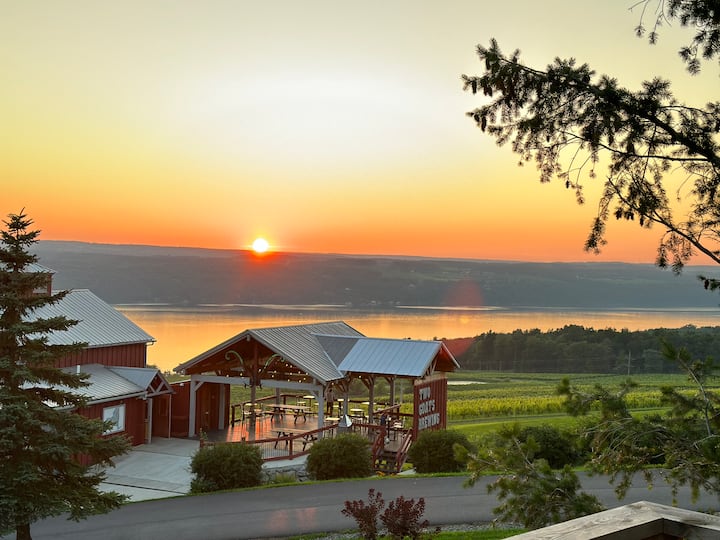 Luxury Villa & Guesthouse W/ Views - Watkins Glen, NY
