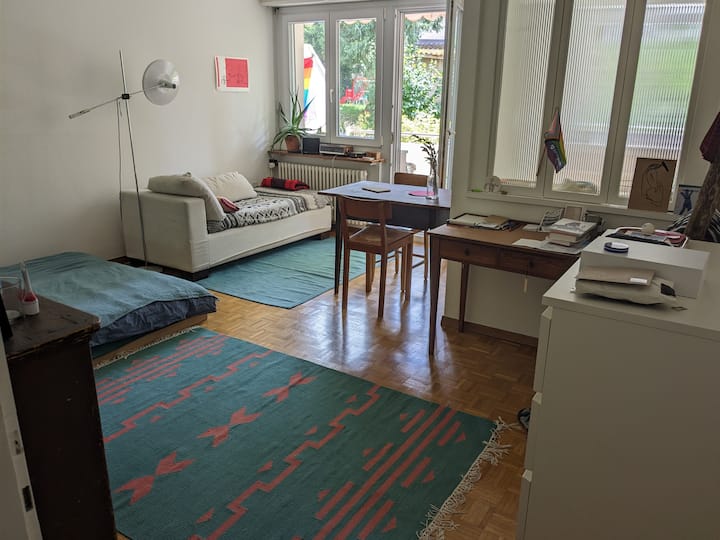 Gemütliche Wohnung, Sehr Zentral - Zürich