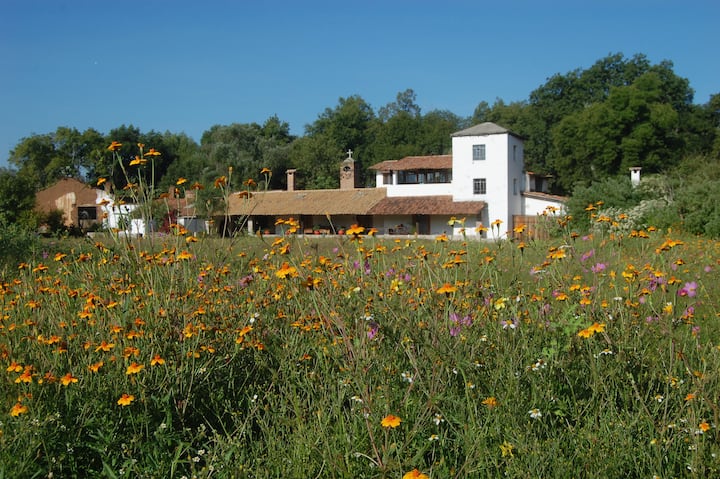 Hacienda De Guapamacátaro - Michoacán