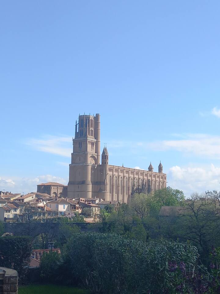 Appartement-albi - Albi