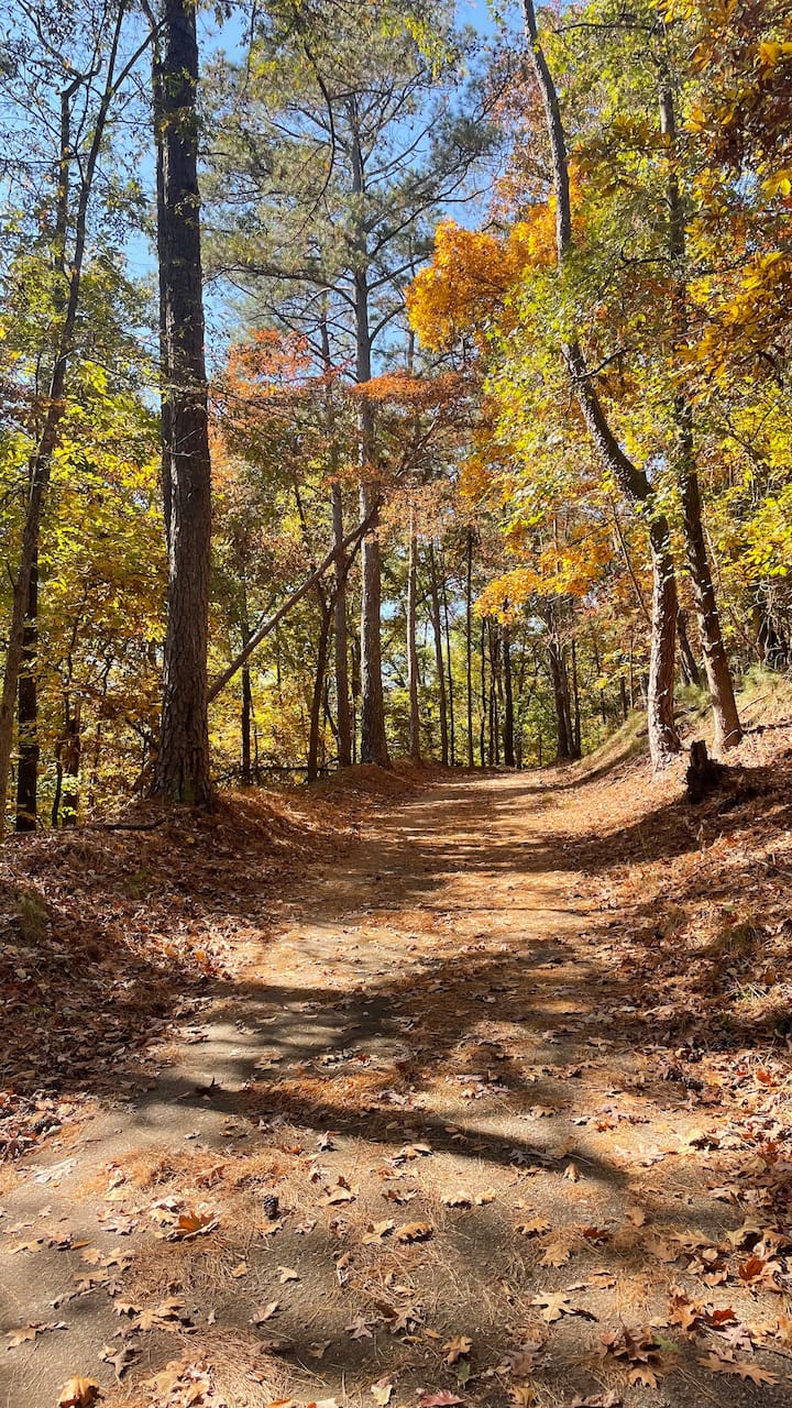 Harmony In The Urban Jungle - Marietta, GA