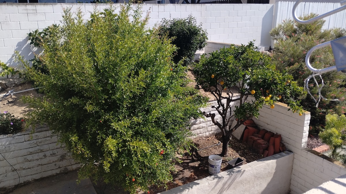 ¡Gran suite 430SF y a minutos de Redondo Beach! - Casas en renta en ...