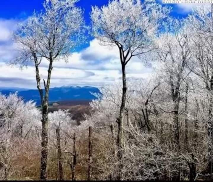 Entry Level 1br Condo! Walk To Slopes & Resort! - Beech Mountain, NC