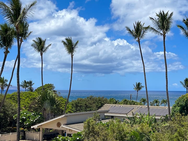 Ocean View, Steps To Kam Beach 2, Perfect Location - Maui, HI